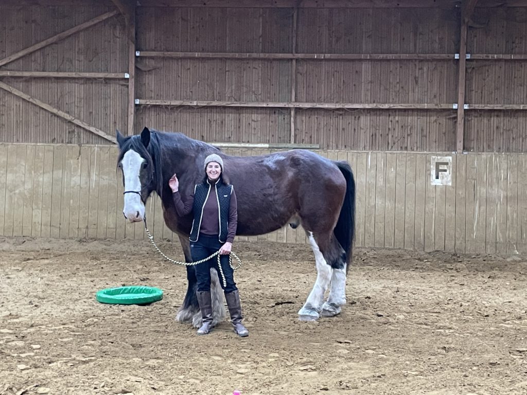 Dandy, cheval de race Shire rejoint l'équipe